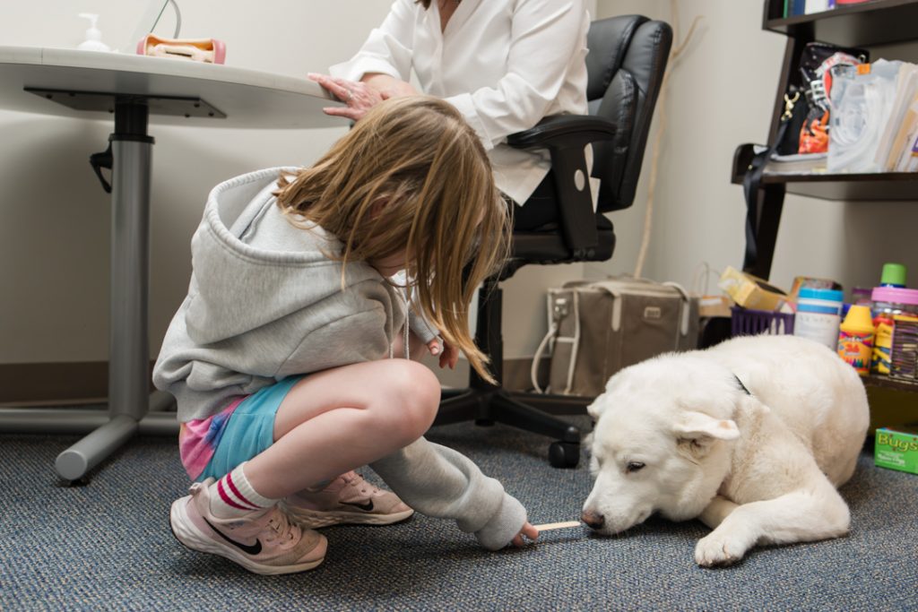 McLean Speech and Language Services